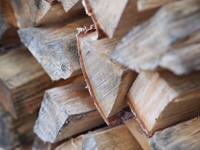 Why Drying Our Own Firewood Matters - Premier Firewood Company